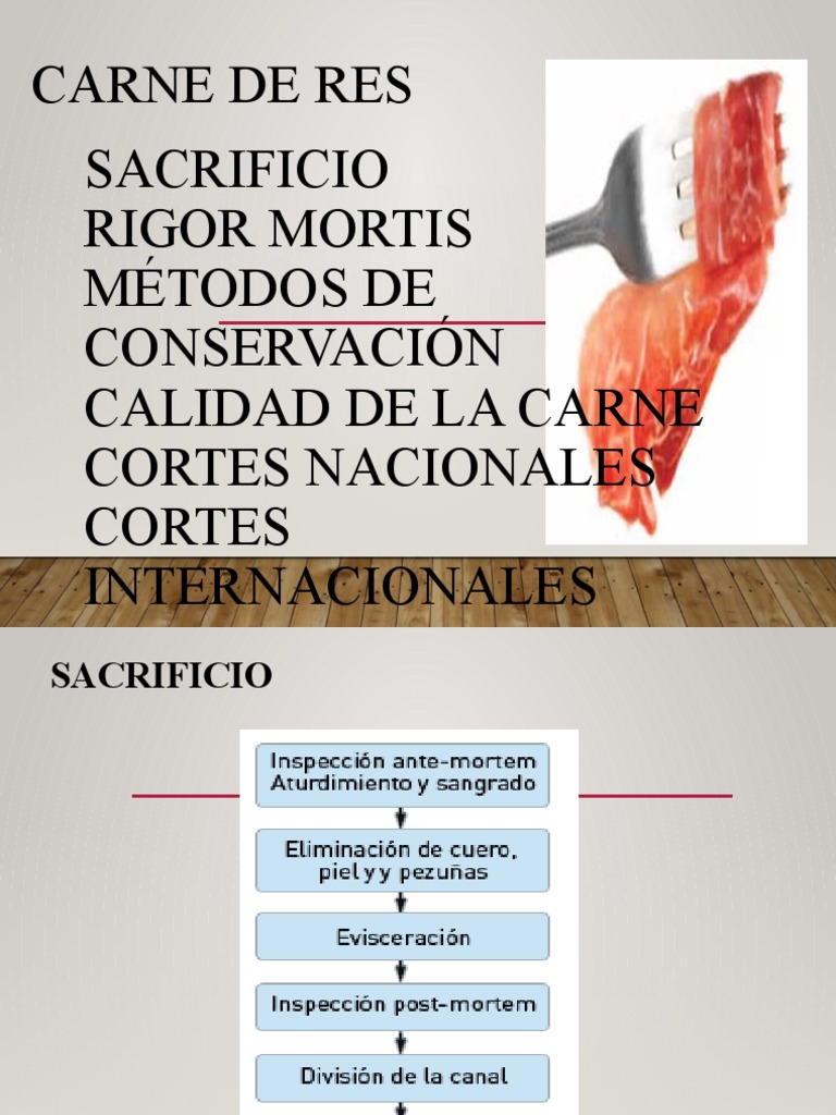 Sacrificio Rigor Mortis Métodos de Conservación Calidad de La Carne ...