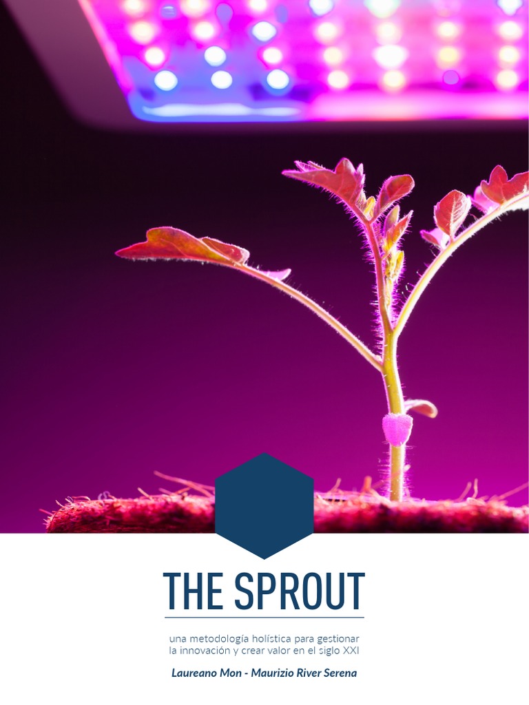 Libro The Sprout - Español | PDF | Innovación | Consumo (economía)
