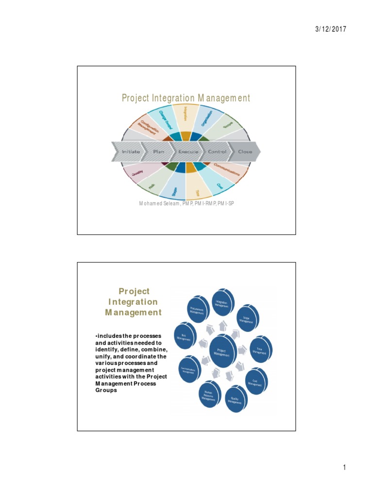 10 - Project Integration Management PDF | Download Free PDF | Project ...