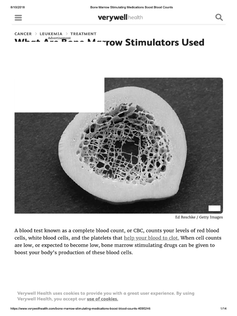 Bone Marrow Stimulating Medications Boost Blood Counts | PDF ...