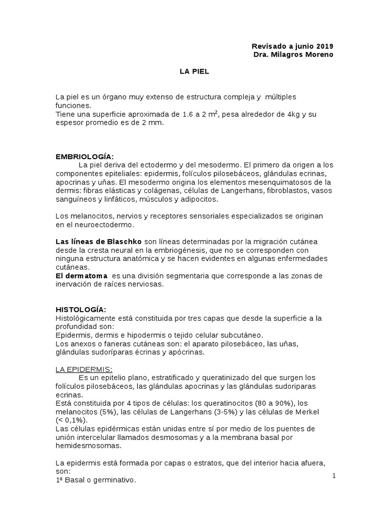 LA PIEL, Generalidades 2020 | PDF | Piel | Epidermis