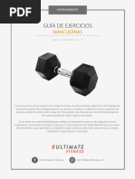 Guia de Calistenia | PDF | Ejercicio físico | Aptitud física