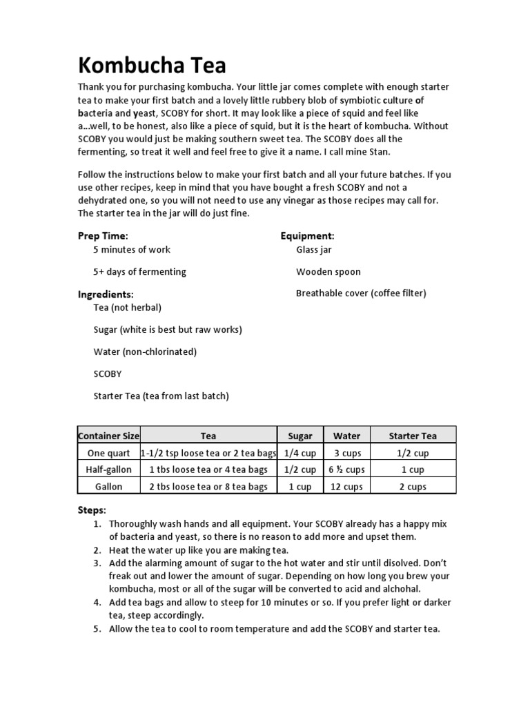 Kombucha Recipe | PDF | Tea | Fermented Foods