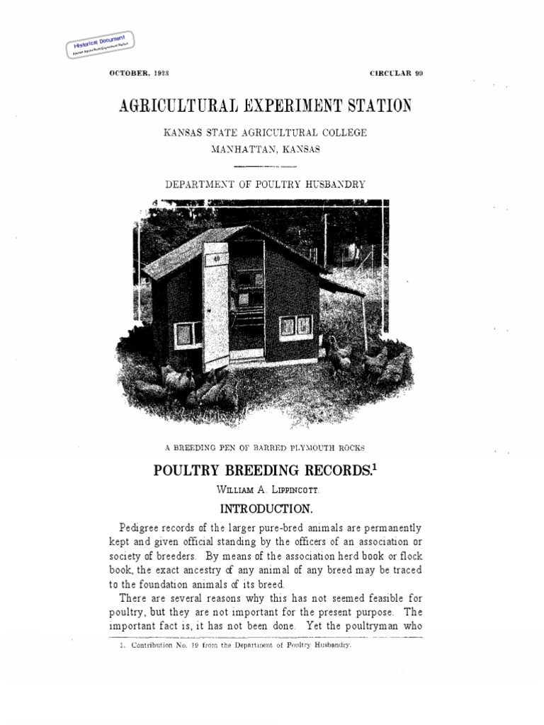 Poultry Breeding Records | PDF | Selective Breeding | Chicken