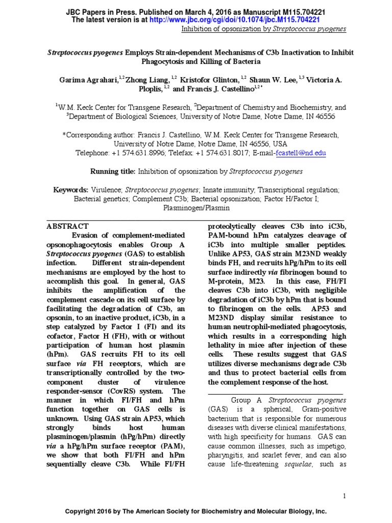 Streptococcus Pyogenes Download Free Pdf Complement System Molecular Biology