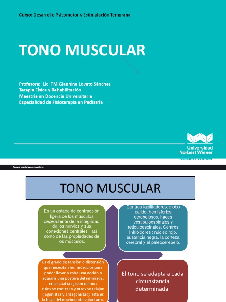 Clase 4 Tono Muscular | PDF | Pie | Mano
