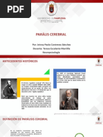 Triptico Eclampsia | PDF