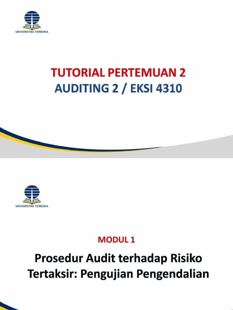 2 Tulkit Auditing 2. | PDF