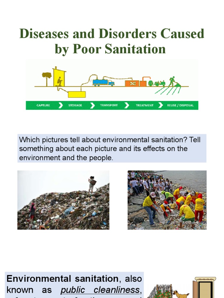 Diseases and Disorders Caused by Poor Sanitation | PDF | Sanitation ...