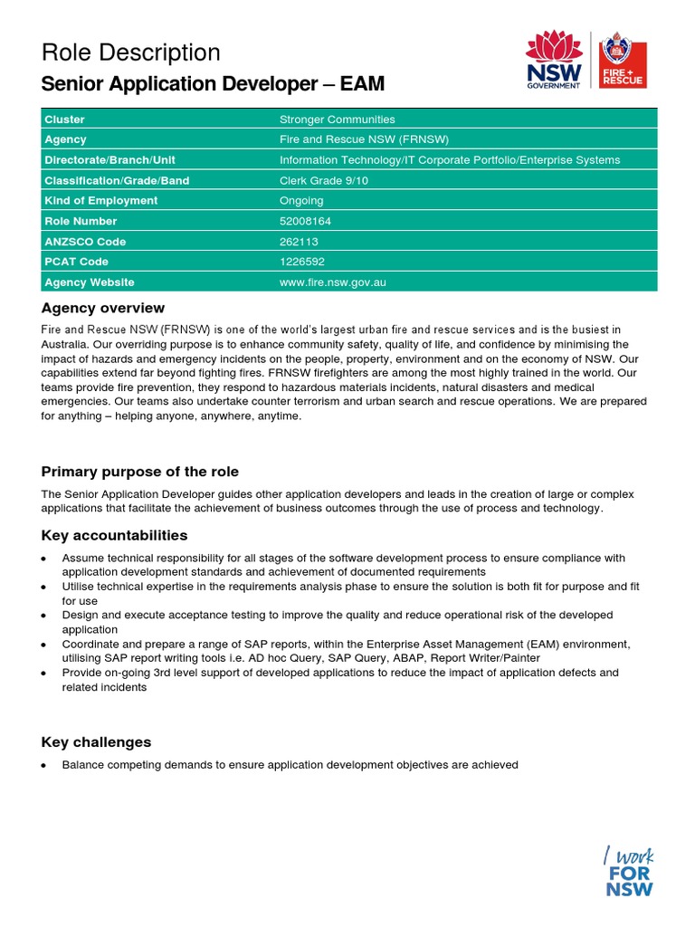 Role Description: Senior Application Developer - Eam | PDF | Mentorship ...