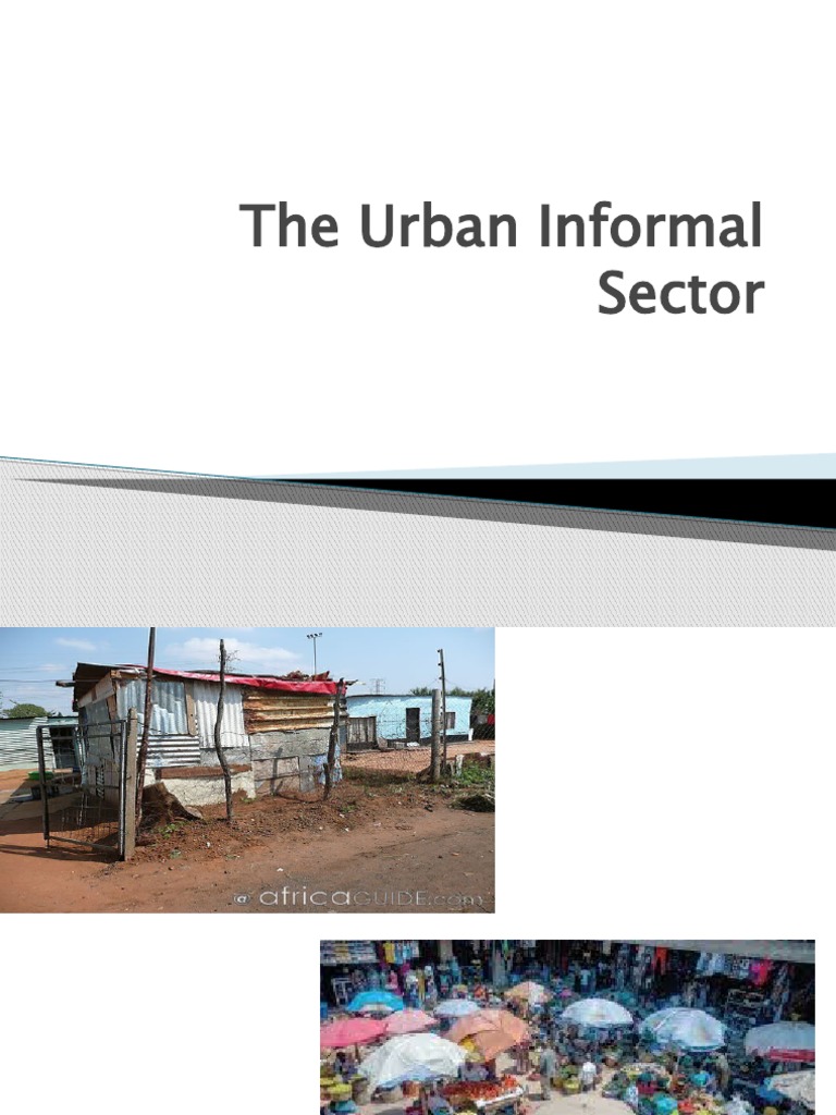 Urban Informal Sector | PDF | Urbanization | Sustainability