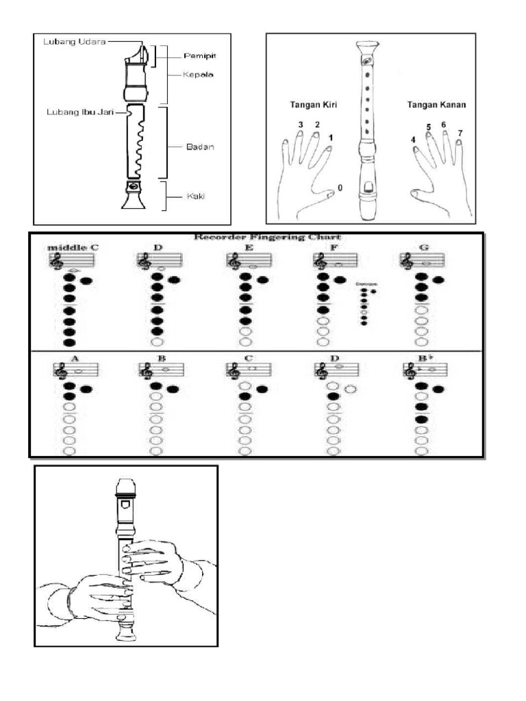 Penjarian Rekoder | PDF