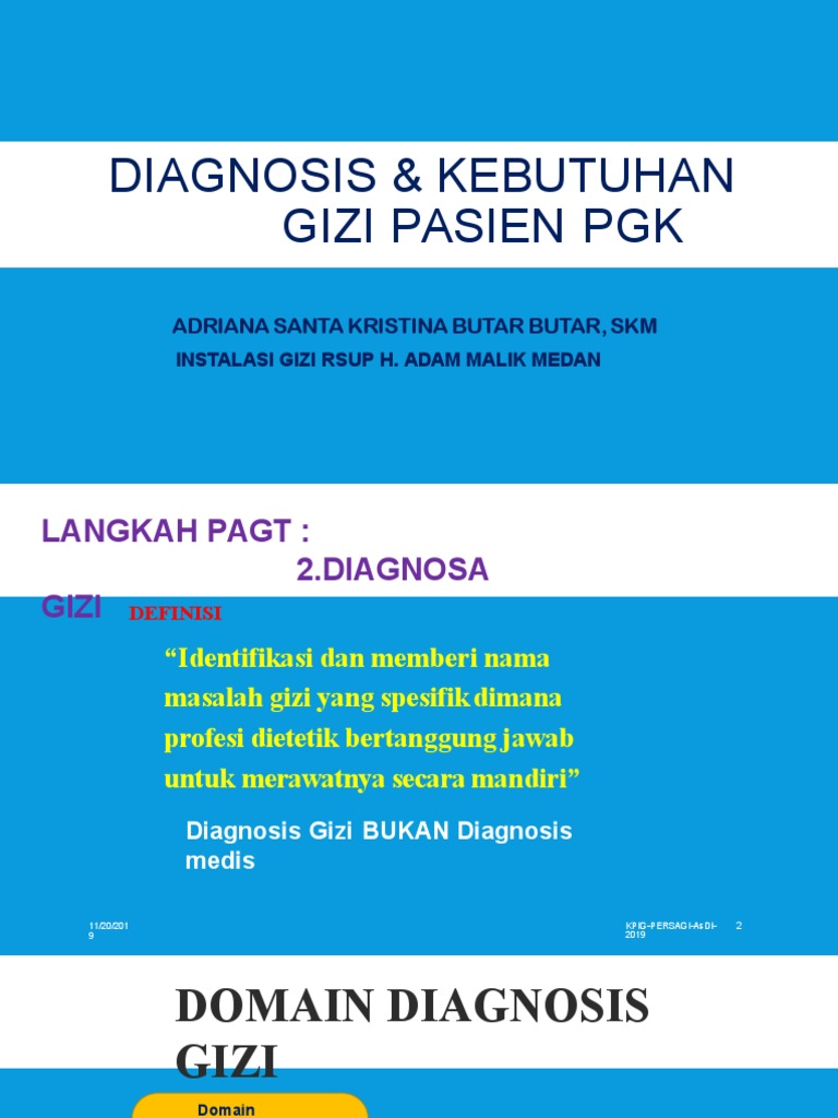 Diagnosis & Kebutuhan Gizi Pasien PGK | PDF