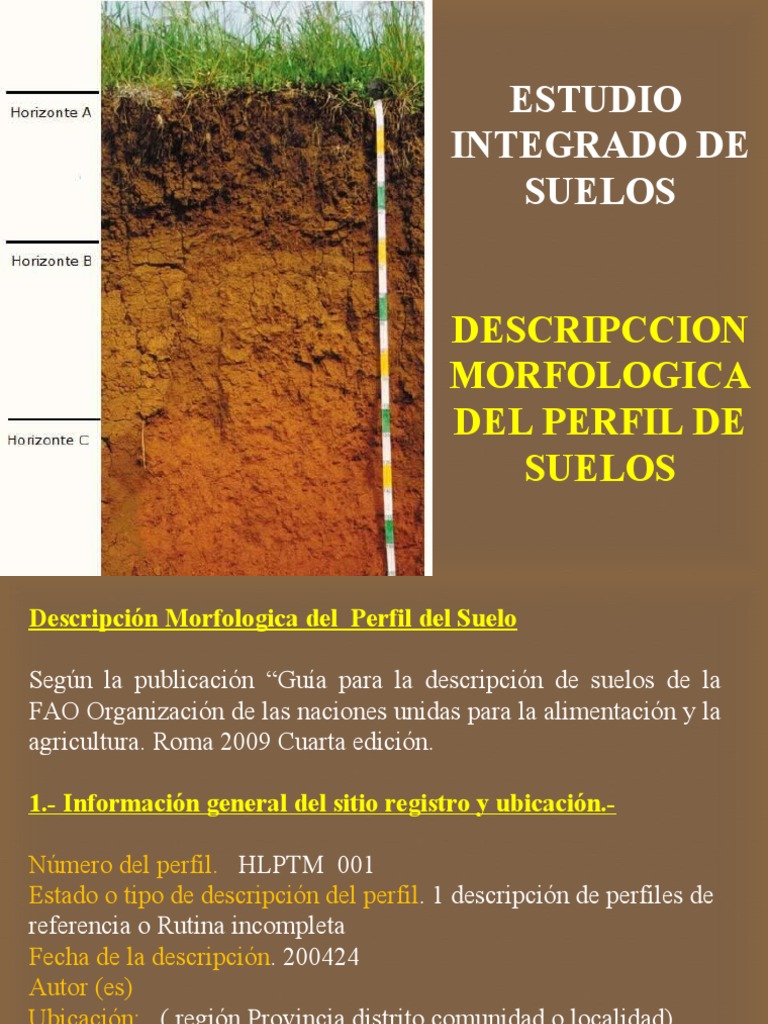 Perfiles de Suelos | PDF | Suelo | Clima