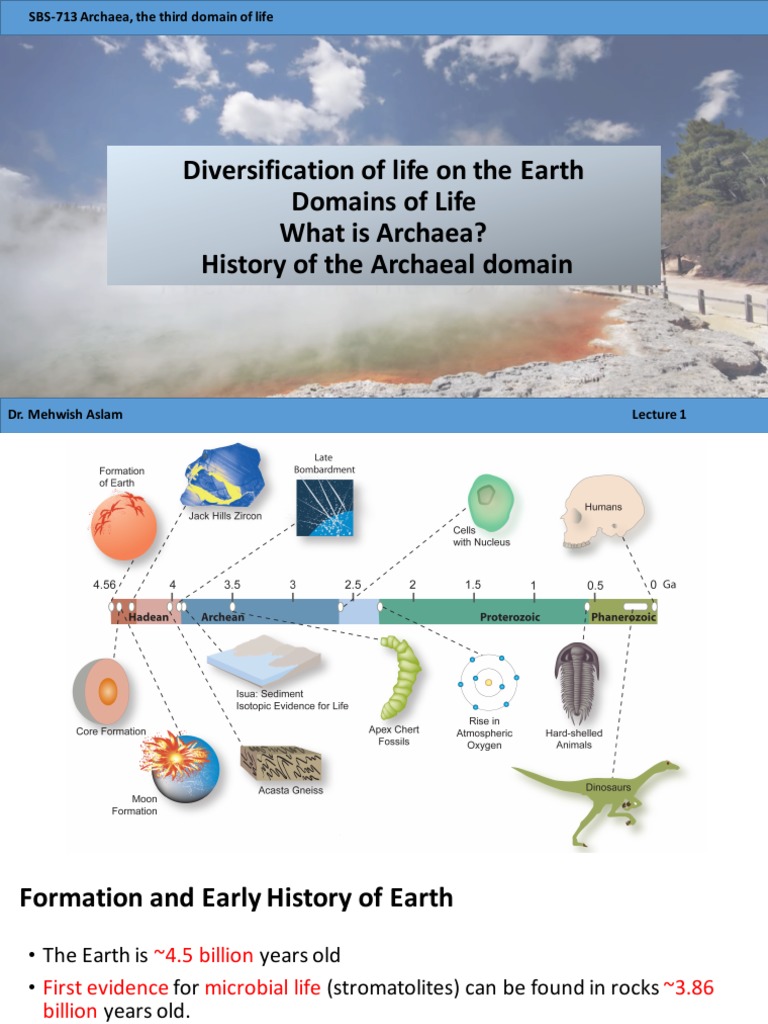 Diversification of Life On The Earth Domains of Life What Is Archaea ...