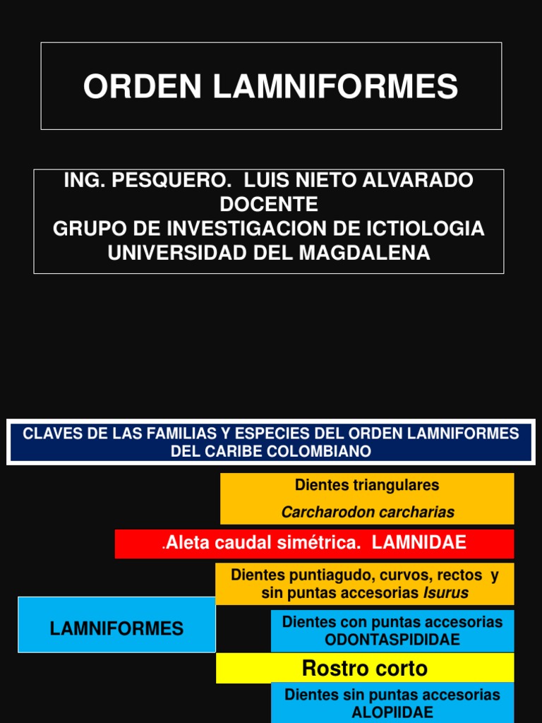 Clasificación del Orden Lamniformes | PDF | Tiburones | Pescado