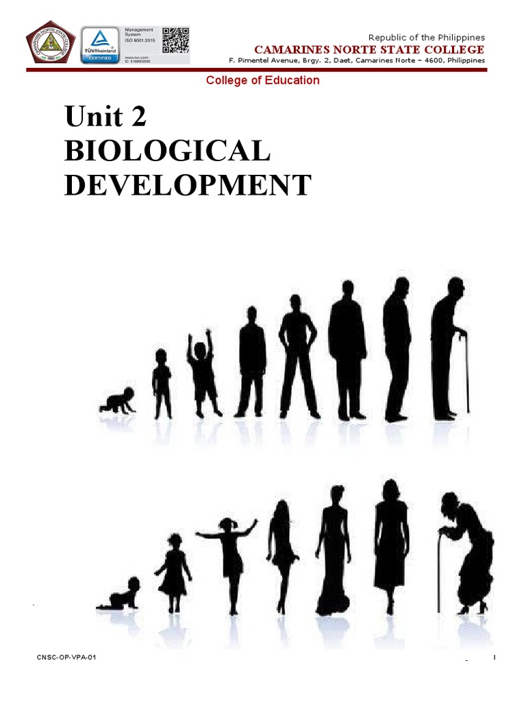 Unit 2 Biological Development: College of Education | PDF | Prenatal ...