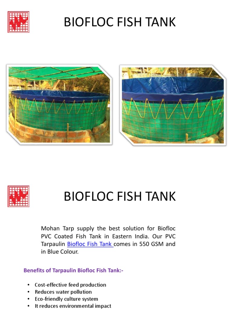 Biofloc Fish Tank Setup and Benefits | PDF | Aquarium | Polyvinyl Chloride
