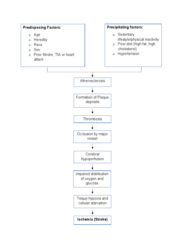 Precipitating Factors: Predisposing Factors | PDF | Blood Vessel | Stroke