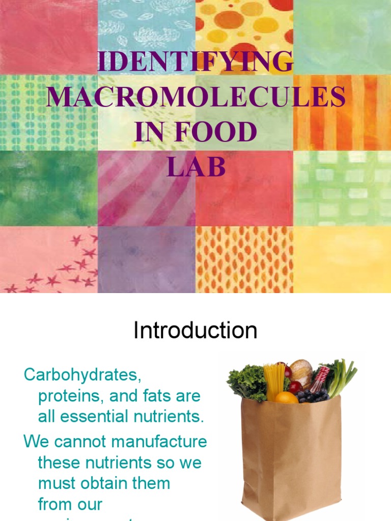 Identifying Macromolecules | PDF | Carbohydrates | Glucose