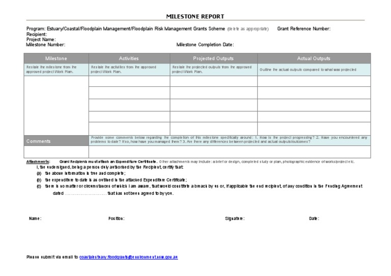 Form Milestone Report | PDF