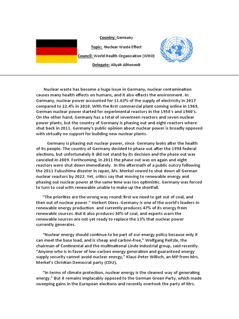Position Paper (Germany) | PDF | Nuclear Reactor | Nuclear Power