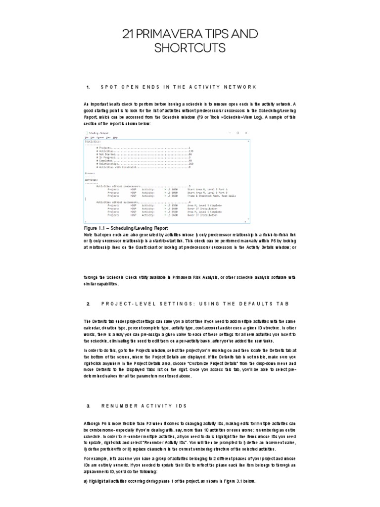 21 Primavera Tips and Shortcuts | PDF | Microsoft Excel | Spreadsheet
