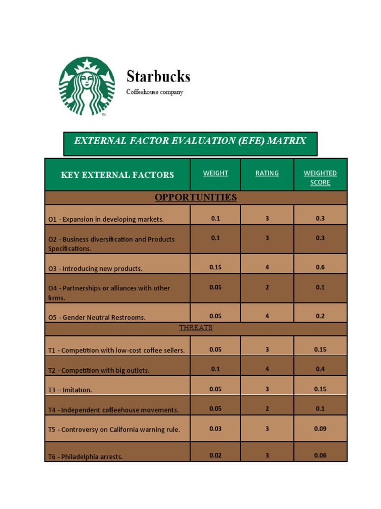 Efe Ife Matrix | PDF | Media Manipulation | Microeconomics