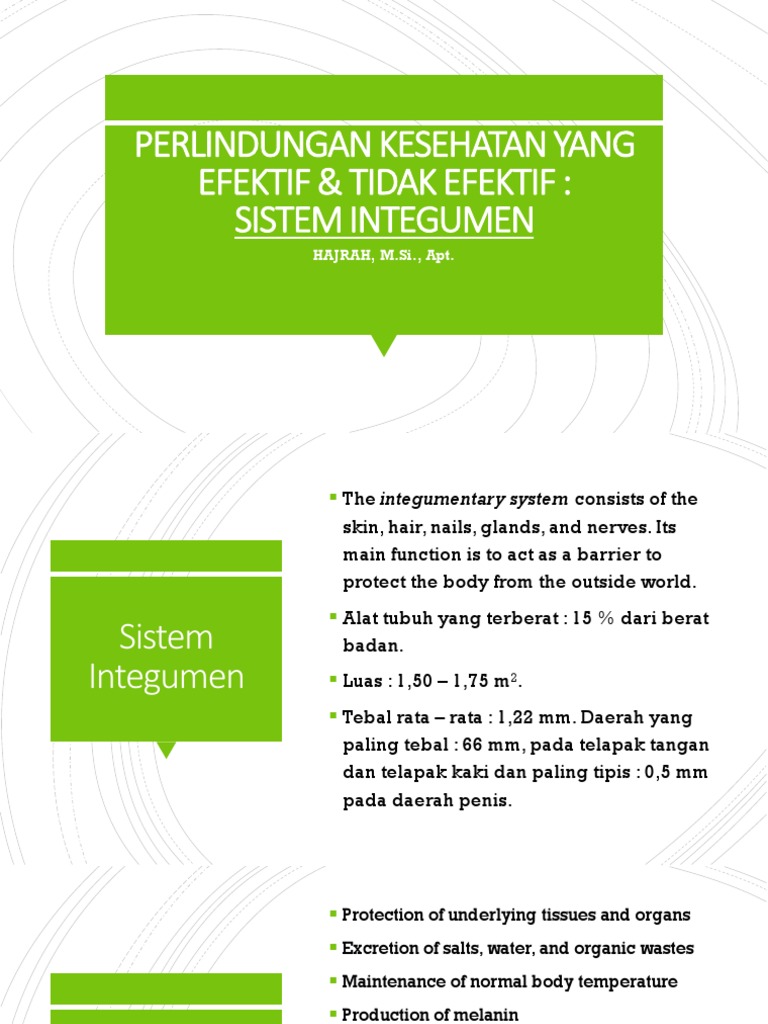 Sistem Integumen | PDF | Kesehatan Holistik | Sains & Matematika