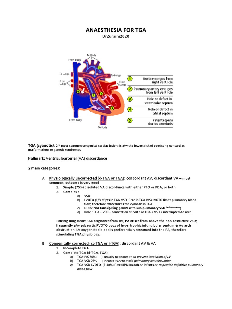 Transposition of Great Arteries (TGA) | PDF | Coronary Circulation ...