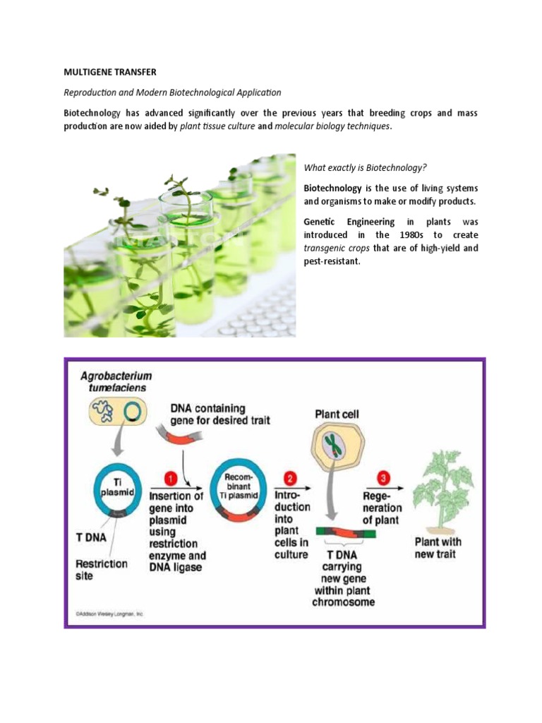Reproduction and Modern Biotechnological Application | PDF