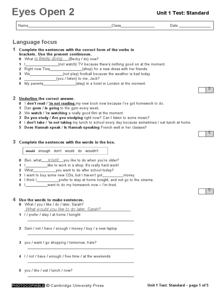 Unit 1 - Standard Test, Customisable | PDF