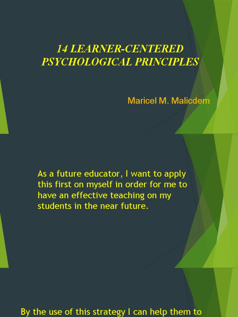 14 Learner-Centered Psychological Principles | PDF