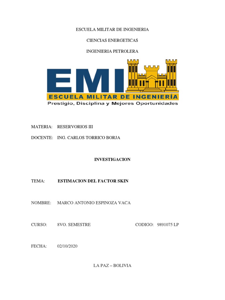 Factor Skin | PDF | Física Aplicada e Interdisciplinaria | Naturaleza