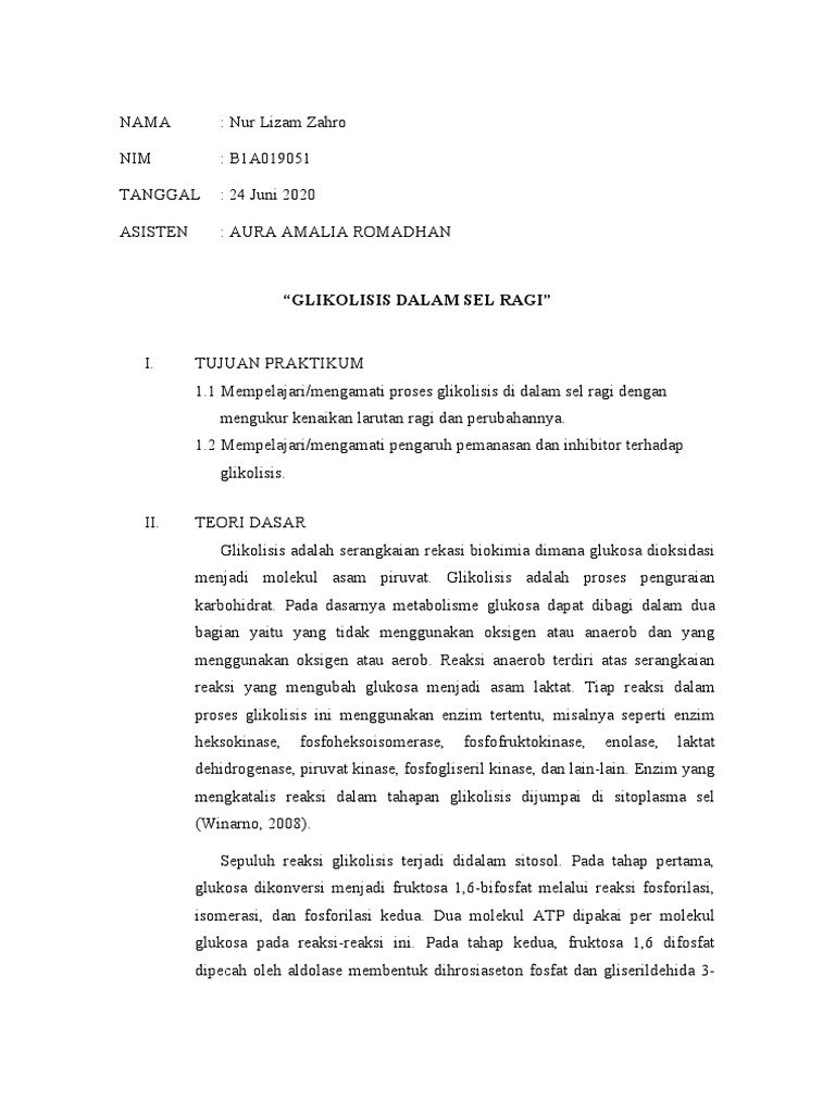 Glikolisis Dalam Sel Ragi | PDF