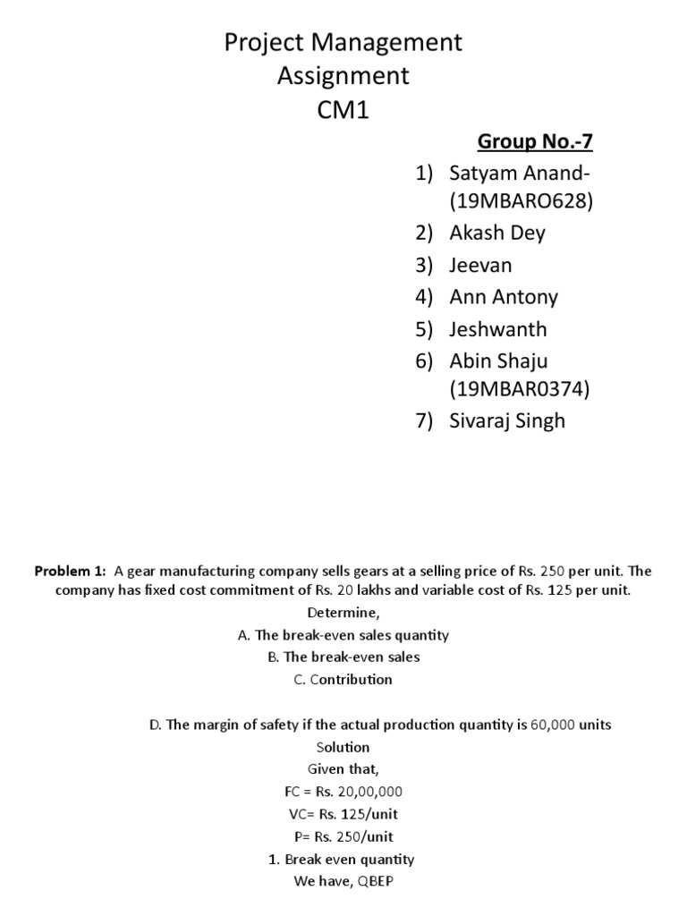 Project Management Assignment FINAL | PDF | Income Statement | Market ...