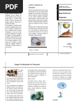 El Gurrufio: Juego Tradicional Venezolano | PDF