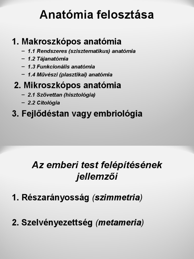 Anatómia Felosztása J Az Emberi Test Részei J Fő Síkok J Irányo | PDF