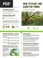 Tree Plantation Project | PDF