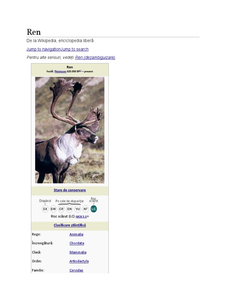 Renul | PDF