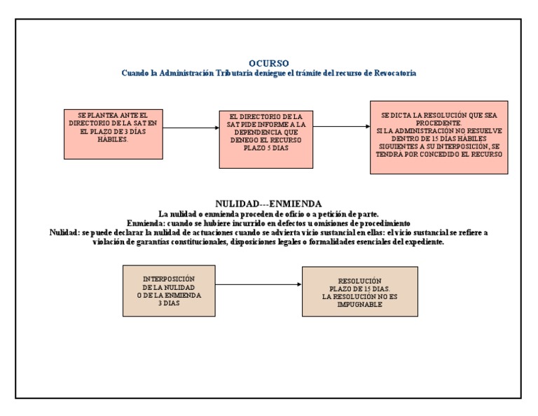 Esquema. Nulidad, Enmienda y Ocurso | PDF