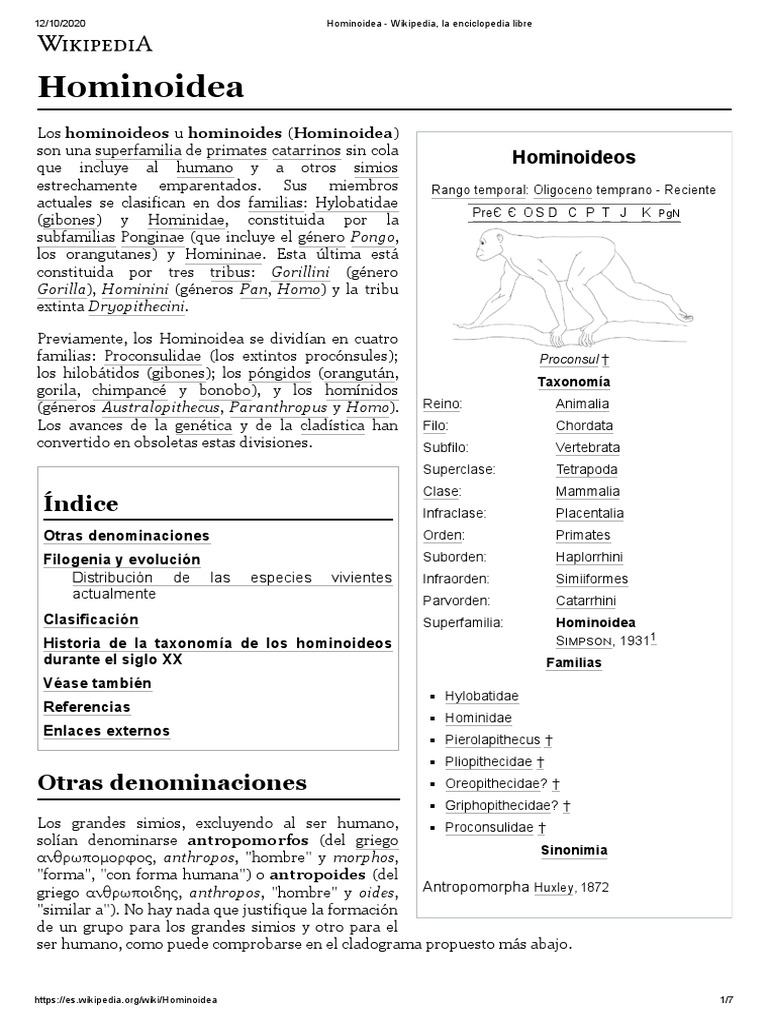 Hominoidea - Wikipedia, La Enciclopedia Libre | PDF | Mono | Catarrhini