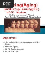 Lobar Function Test. | PDF | Parietal Lobe | Frontal Lobe