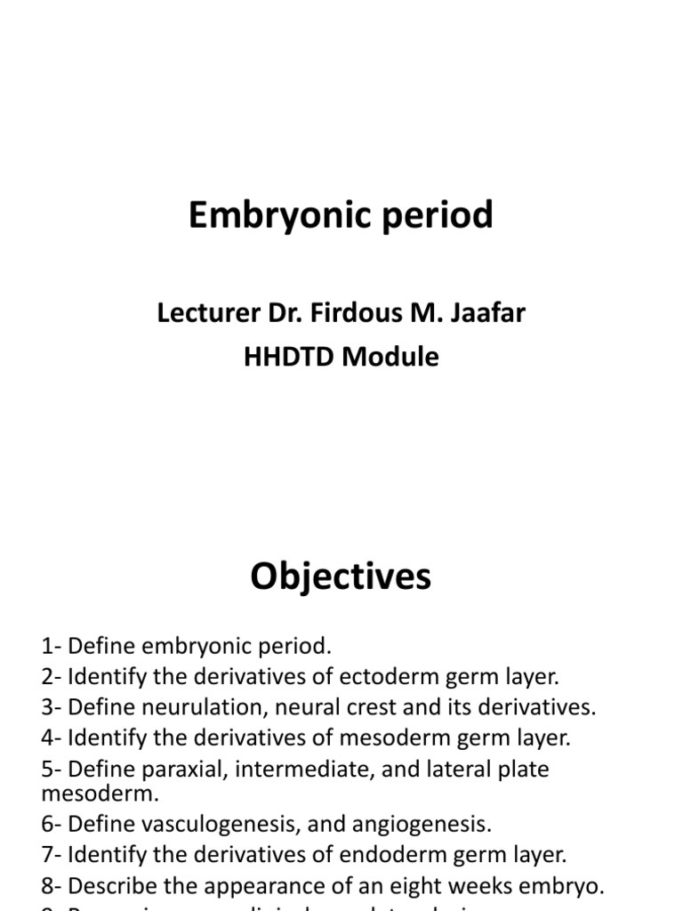 Organogenesis in Action: A Detailed Look at the Development of the ...