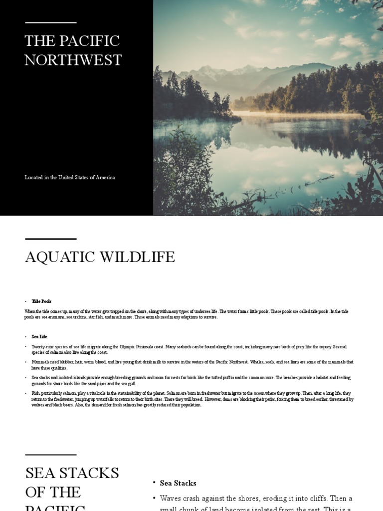 Pacific Northwest Powerpoint | PDF | Rainforest | Salmon