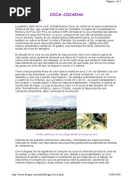 ¿Qué Es La Pasta Base? | PDF | Cocaína