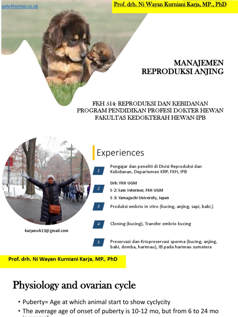 Canine Reproduction Management Guide | PDF | Childbirth | Zoology