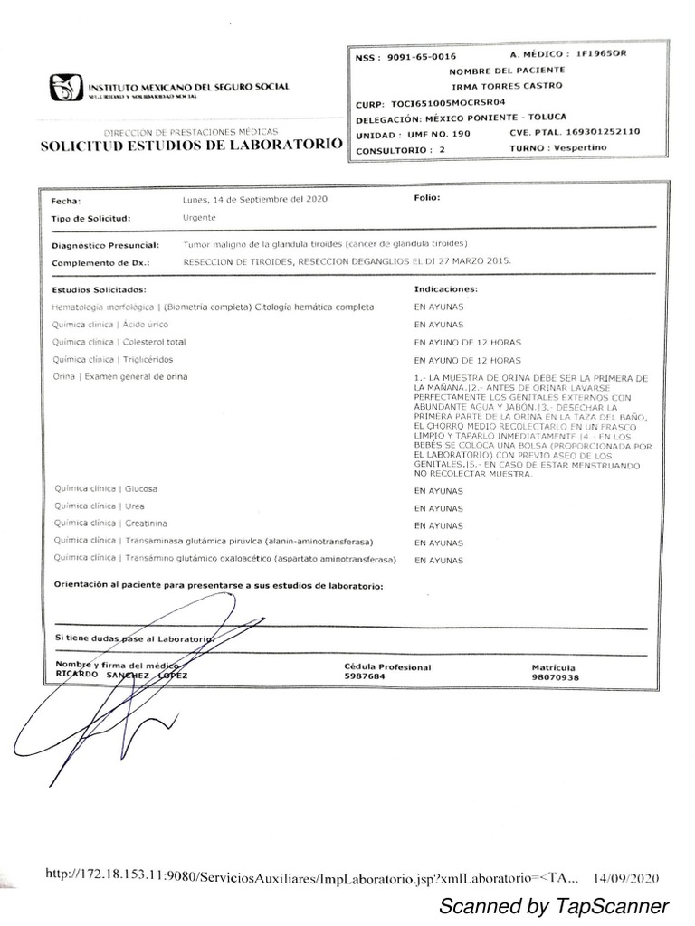 IMSS | PDF