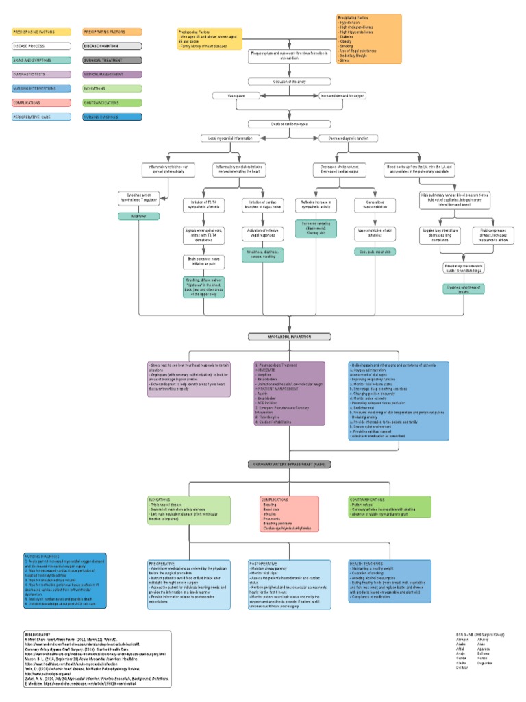 Myocardial Infarction With CABG Concept Map | PDF | Myocardial ...