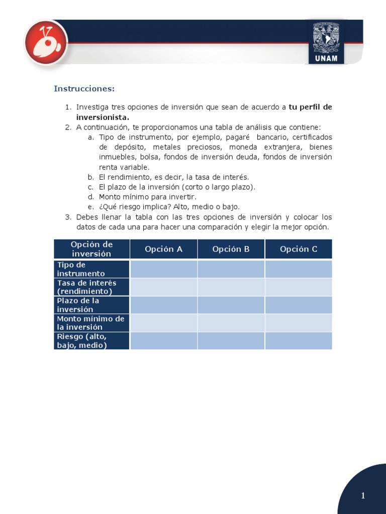 Formato de Opciones de Inversiones | PDF
